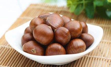 Syriusz - maskotka unijna (Wierszyk) dla dzieci do pobrania i wydruku