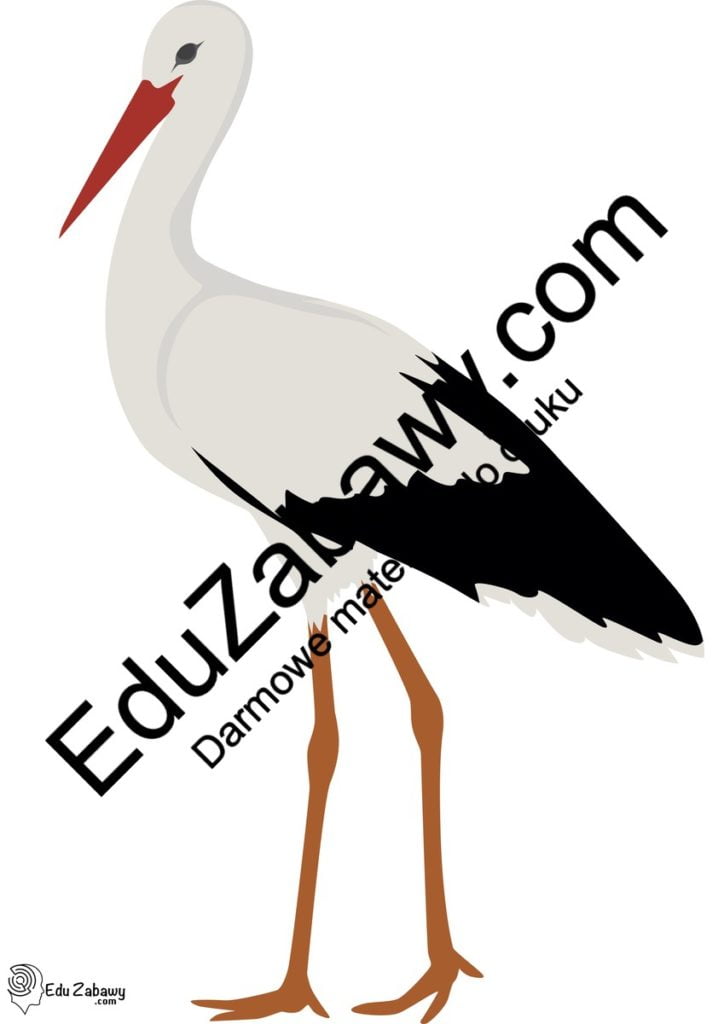 Dekoracje: bocian do sali przedszkola, na okna do pobrania i druku
