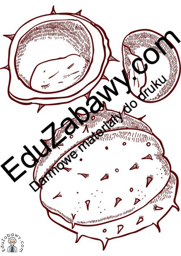 Kolorowanki z darami jesieni do druku za darmo dla dzieci, przedszkolaków