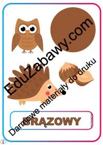 Plansze dydaktyczne: kolory do druku za darmo do przedszkola, szkoły