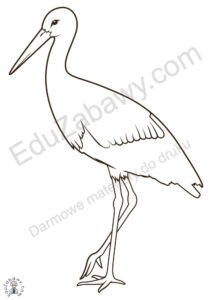 Szablon do prac plastycznych: Bocian do druku za darmo