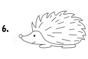 Jak narysować jeża krok po kroku. Nauka rysowania jeża