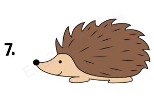 Jak narysować jeża krok po kroku. Nauka rysowania jeża