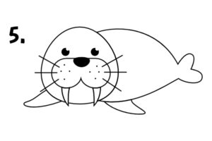Jak narysować fokę krok po kroku. Nauka rysowania foki