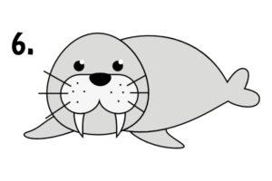 Jak narysować fokę krok po kroku. Nauka rysowania foki
