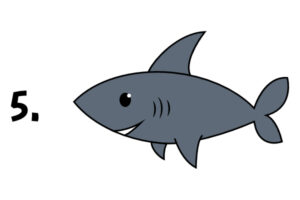 Jak narysować rekina krok po kroku. Nauka rysowania rekina