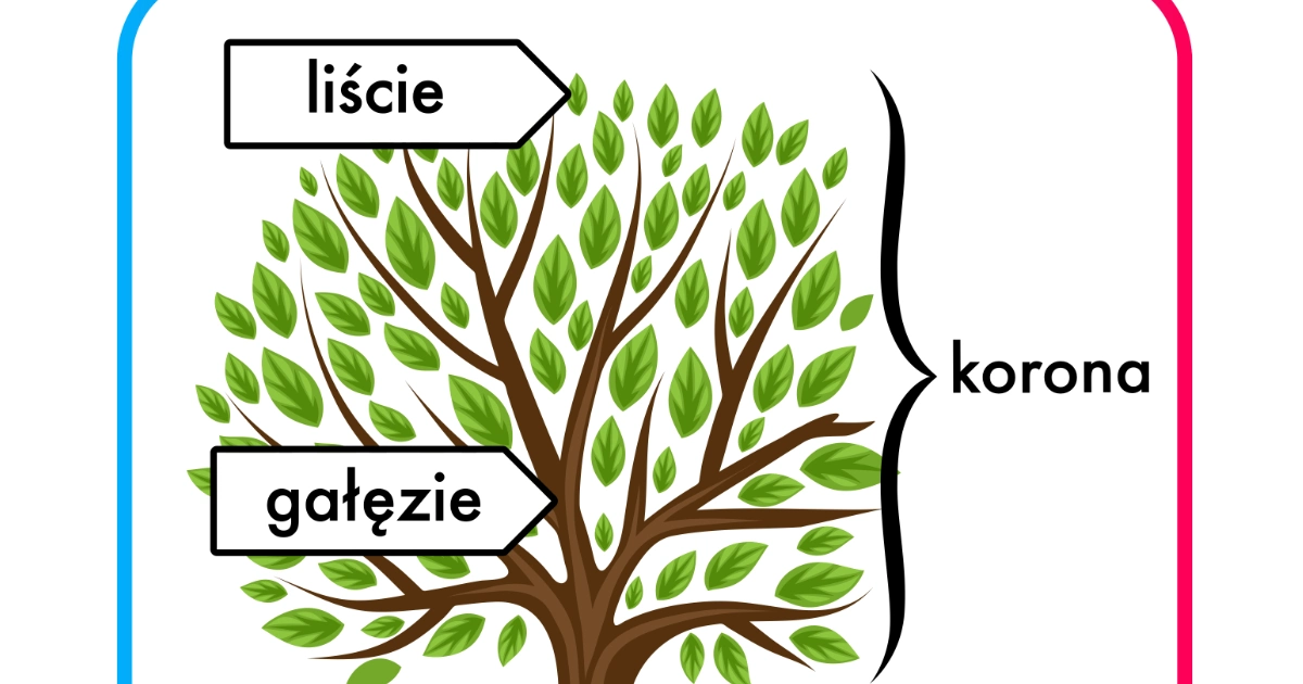 Plansze dydaktyczne A4 i XXL: Budowa drzewa w PDF do druku